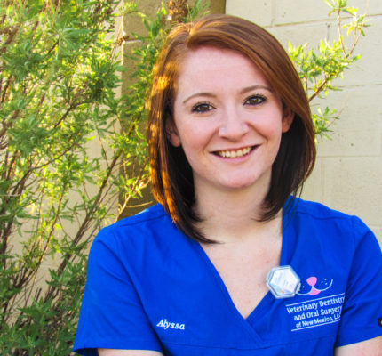 “Meet our Technical Team in Algodones, NM - Veterinary Dentistry and ...